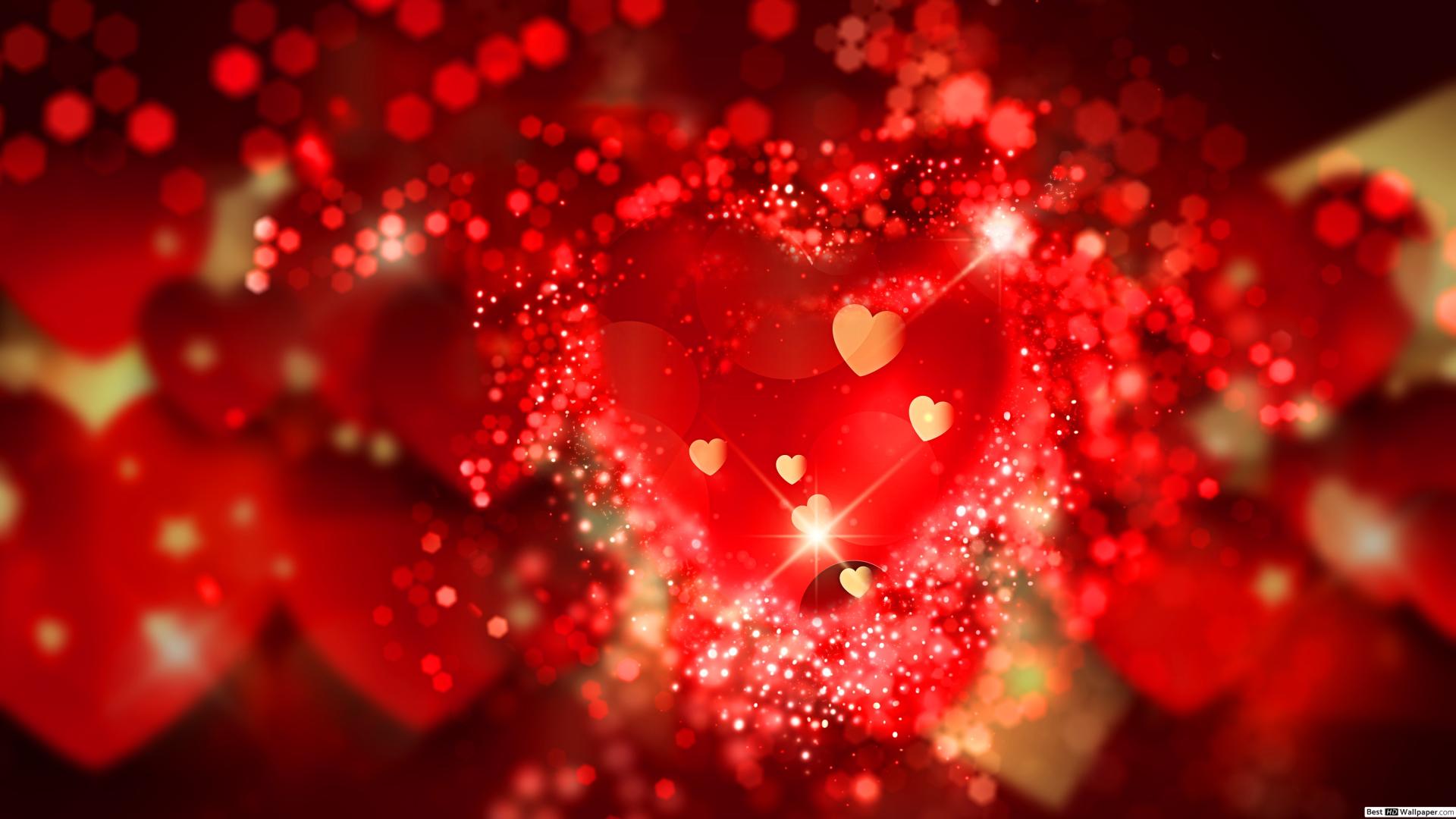 Jak adoptovat? :: Pro psí (v)oči